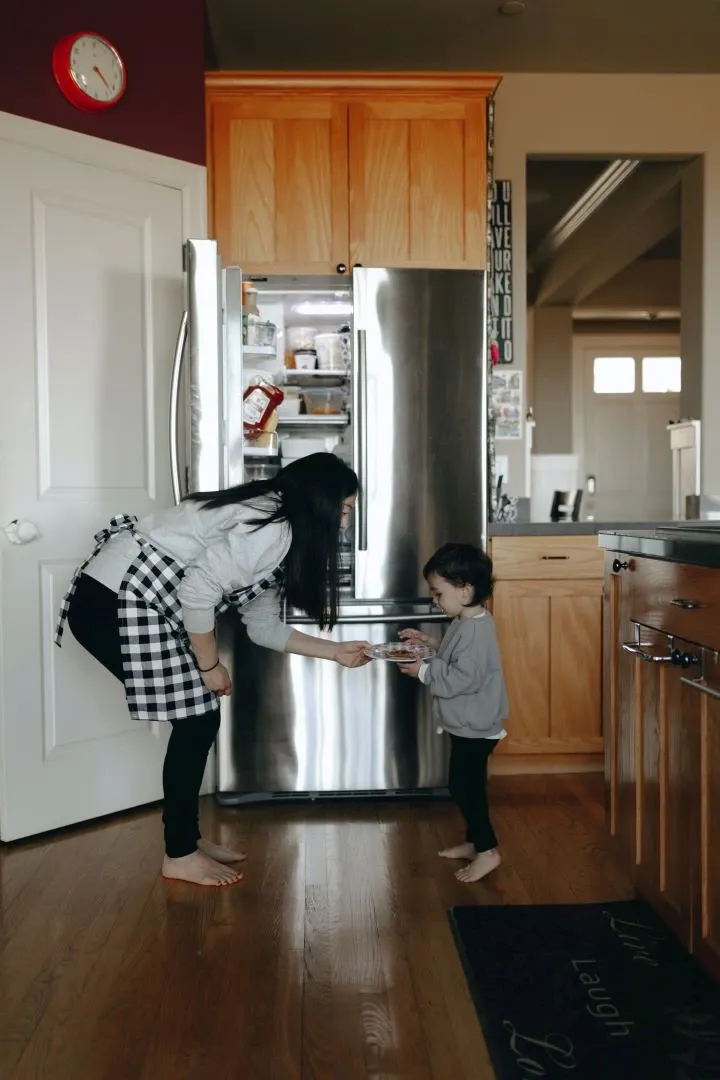 Samsung Who? The Best Stainless Steel Fridge Alternatives